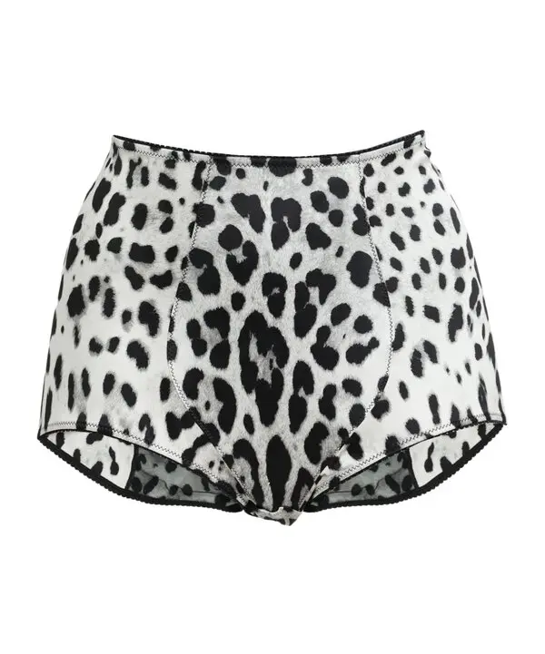 Dolce & Gabbana High-waisted Leopard-print Underwear