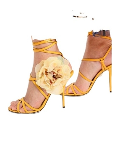 Dolce & Gabbana Leather Floral Appliqu Sandals