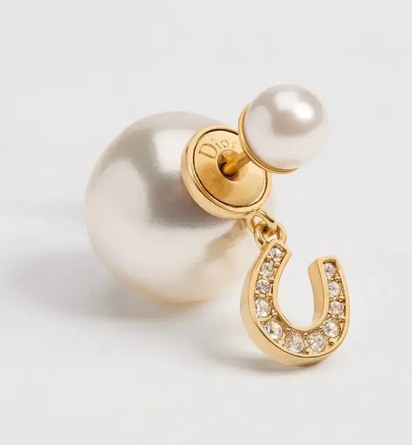 Dior Lucky Diordior Tribales Earrings