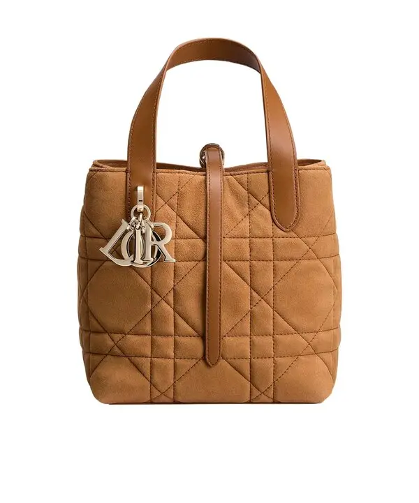 Dior Small Toujours Vertical Tote Bag - Brown
