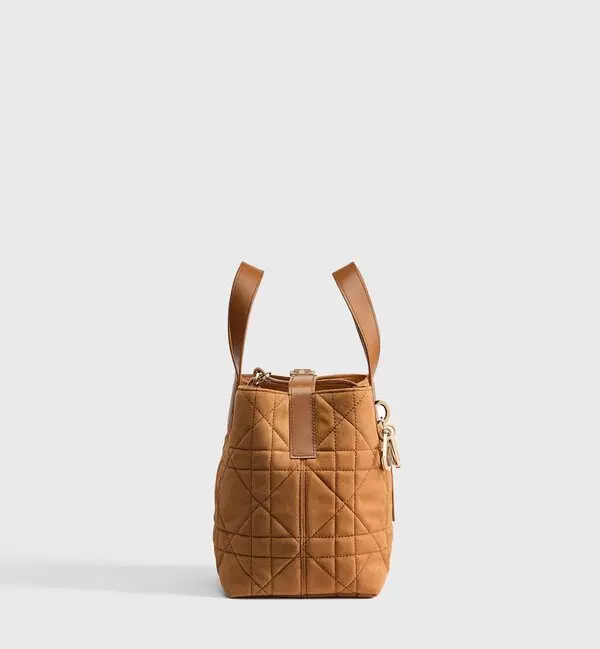 Dior Small Toujours Vertical Tote Bag