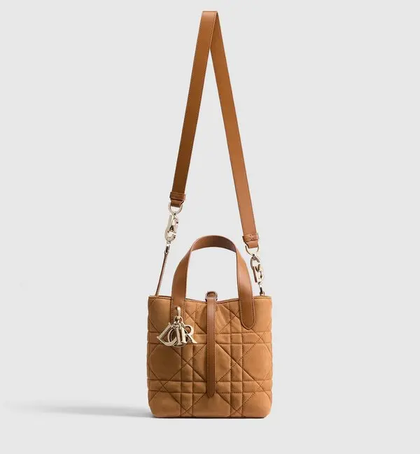 Dior Small Toujours Vertical Tote Bag
