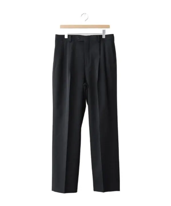 Auralee Two-tack Pleated Trousers