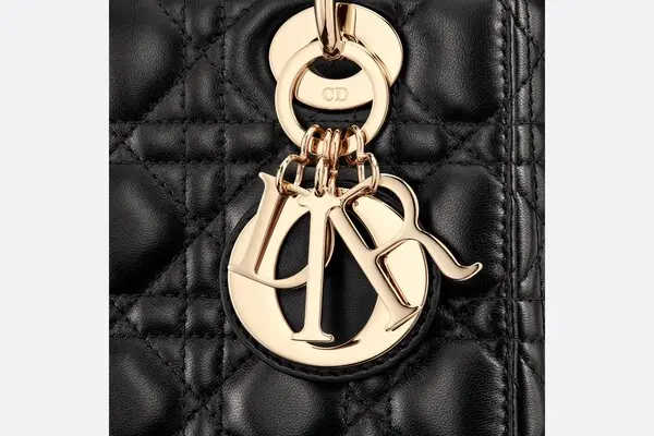 Dior Small Lady My Abcdior Bag