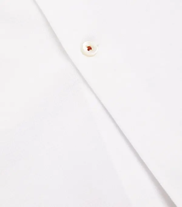 Loro Piana Collared Long-sleeved Shirt