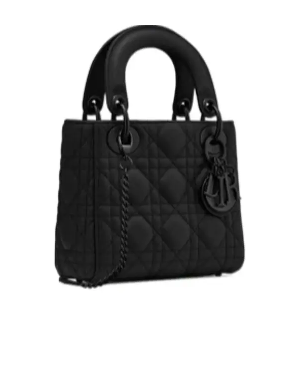 Dior Mini Lady Bag