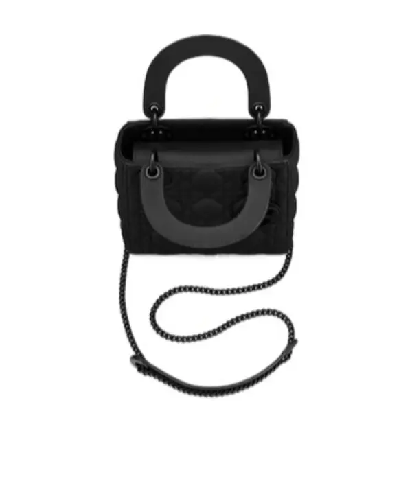 Dior Mini Lady Bag