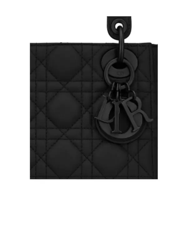 Dior Mini Lady Bag