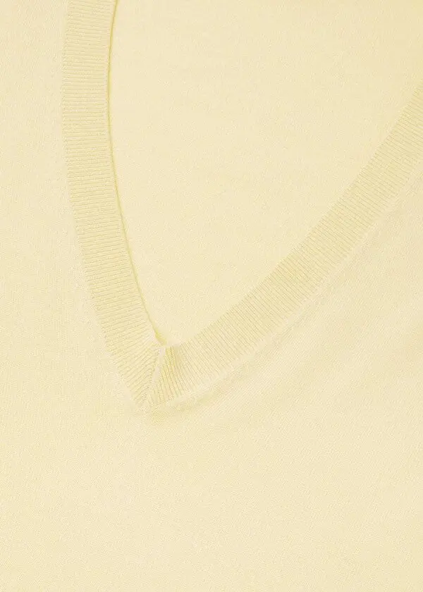 Loro Piana Royal Lightness V-neck