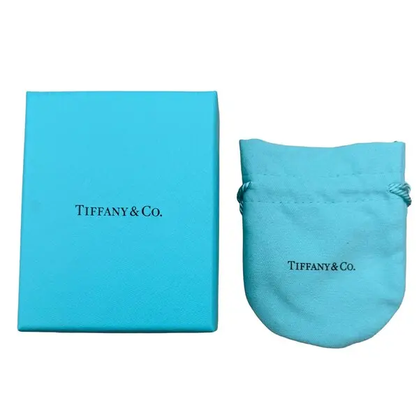 Tiffany & Co. Sterling Silver Diamond Return To Earrings