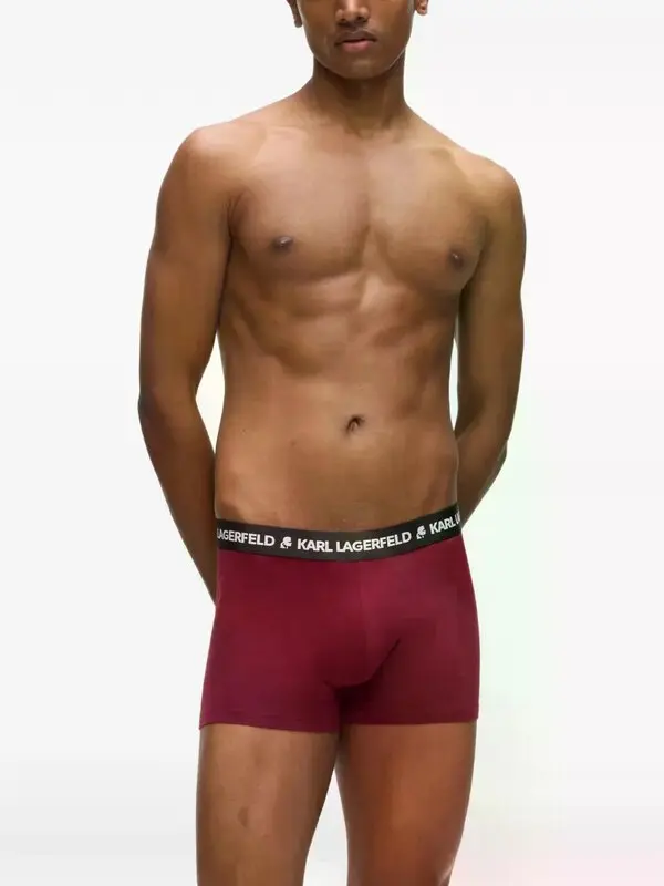 Karl Lagerfeld Logo Trunks
