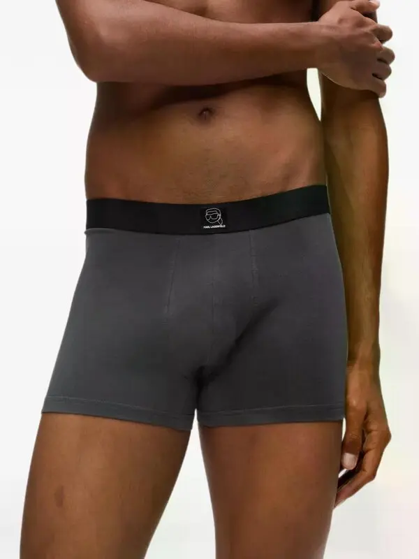 Karl Lagerfeld Ikon Patch Trunks