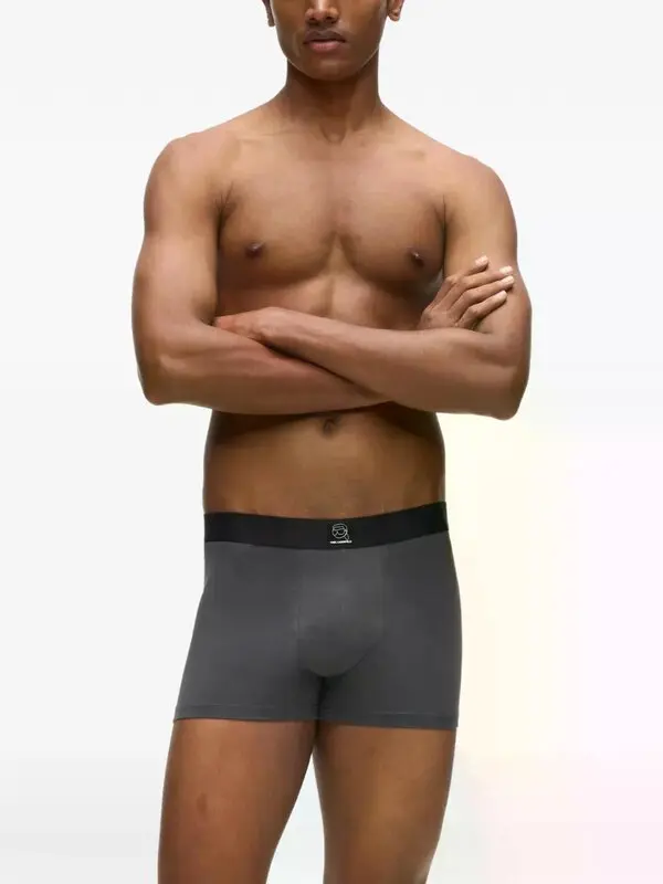 Karl Lagerfeld Ikon Patch Trunks