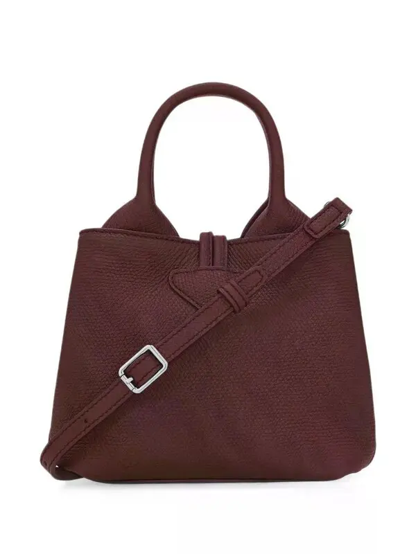 Longchamp Le Roseau Xs Handbag