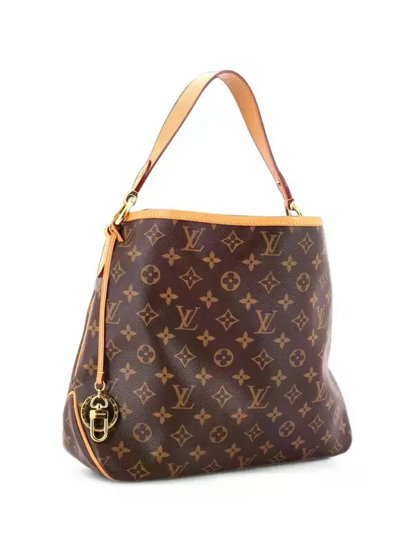 LOUIS VUITTON Delightful Nm Handbag Monogram Canvas Pm Hobo Bag - Brown