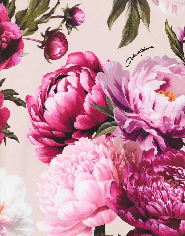 Dolce & Gabbana Peony-print Interlock Mock-neck Top