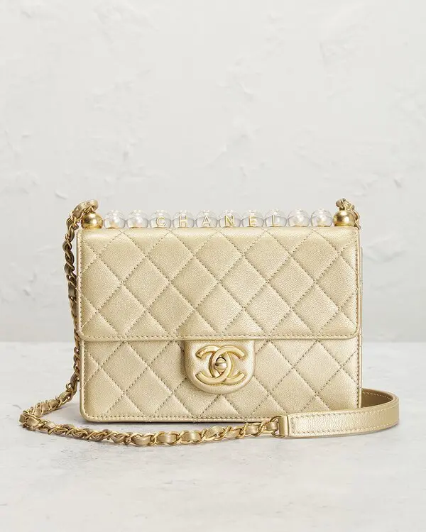 FWRD RENEW Chanel Goatskin Small Chic Pearls Flap Bag