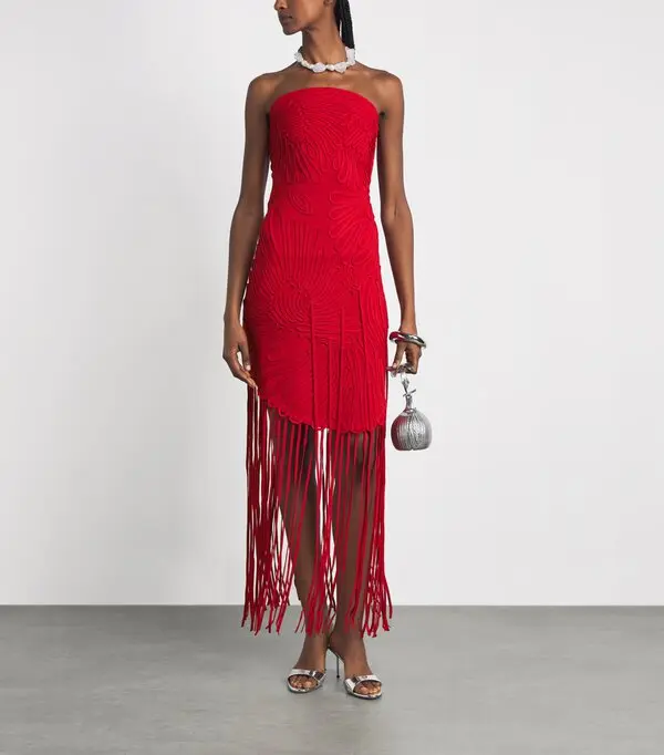 Cult Gaia Embroidered Edina Maxi Dress