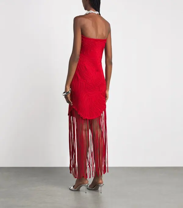 Cult Gaia Embroidered Edina Maxi Dress