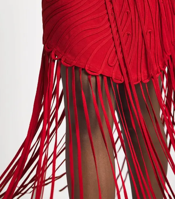 Cult Gaia Embroidered Edina Maxi Dress