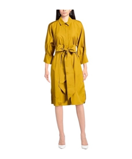 Max Mara Belted Shirt Dress