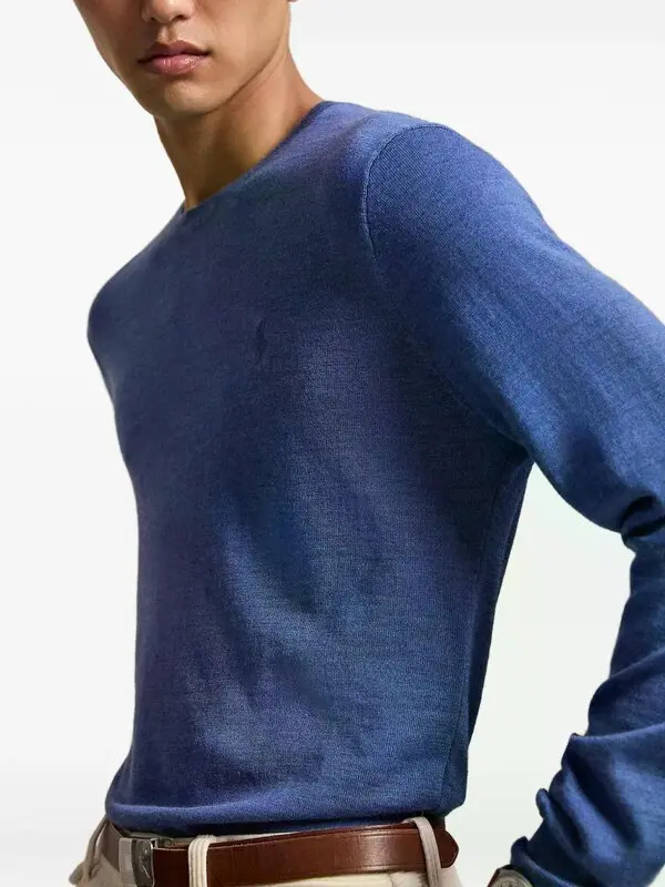 Polo Ralph Lauren Wool Crew-neck Sweater