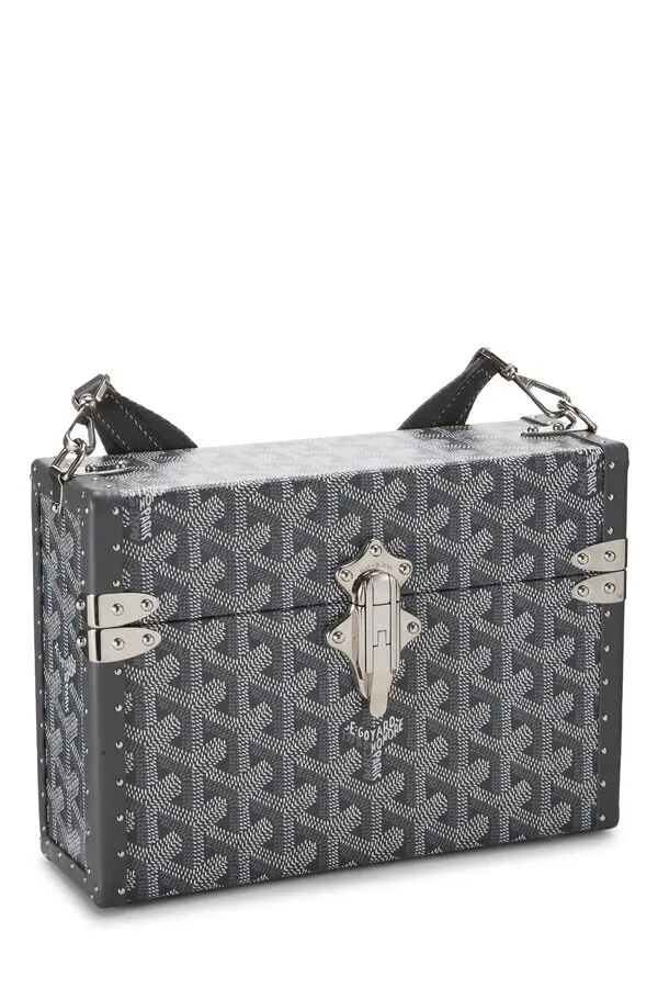 Goyard Cassette Trunk Bag