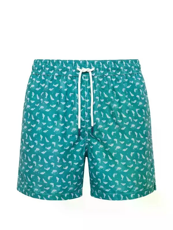 Fedeli Madeira Dolphin-print Swim Shorts - Green