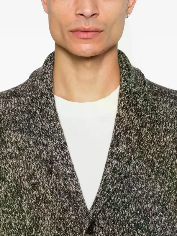 Tagliatore Shawl Collar Cardigan