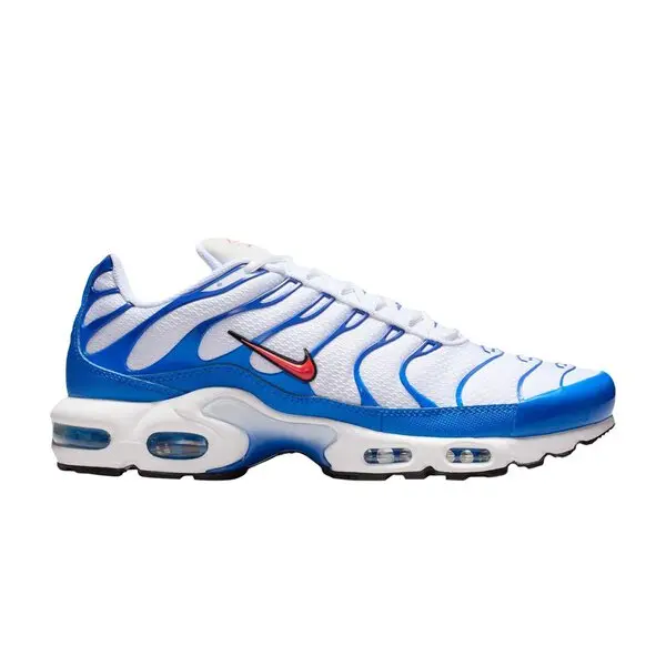 Nike Max Plus " Blue - White