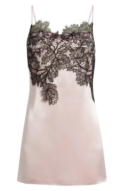 Shona Joy Lucia Lace Mini Dress