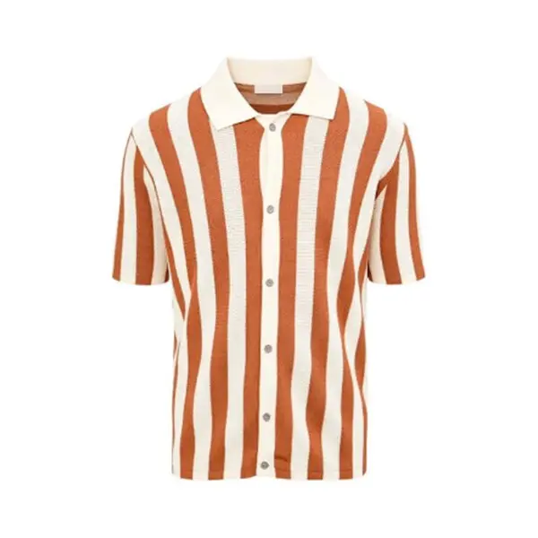 VAYLA Neutrals/ Textured Fine-knit Vertical Stripe Polo Shirt Beige & Mocha - Brown