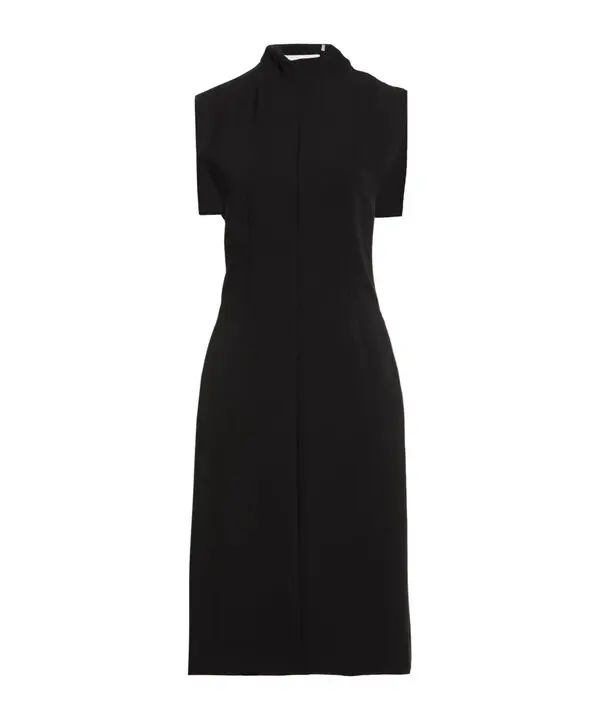 Sportmax Fitted Sleeveless Dress - Black