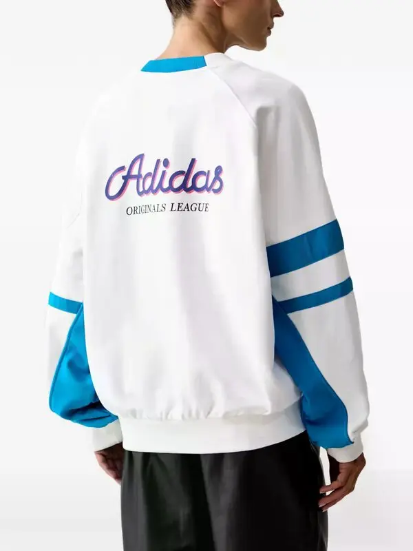 Adidas Graphic Print Panelled Sweater