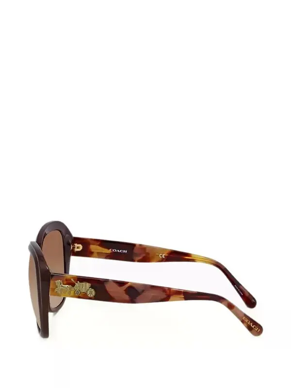 COACH Oversize-frame Sunglasses