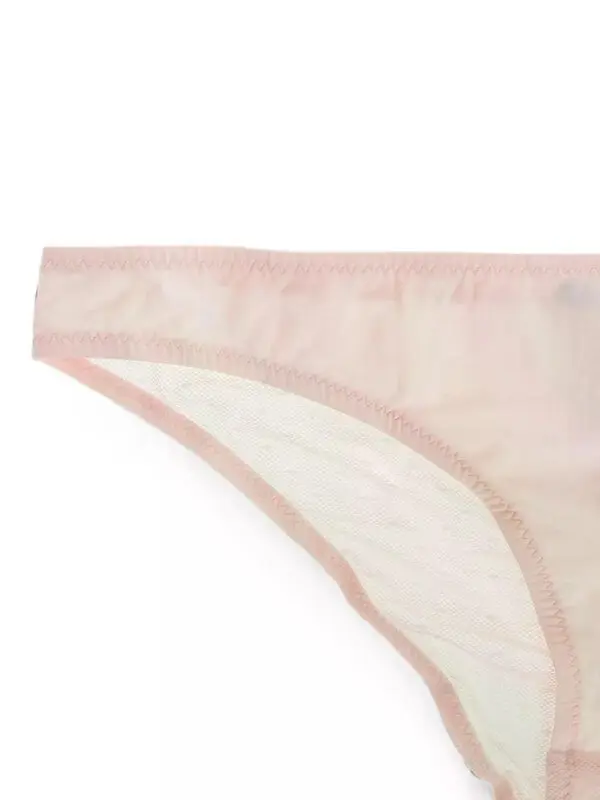 Stella McCartney Mesh-panelled Briefs