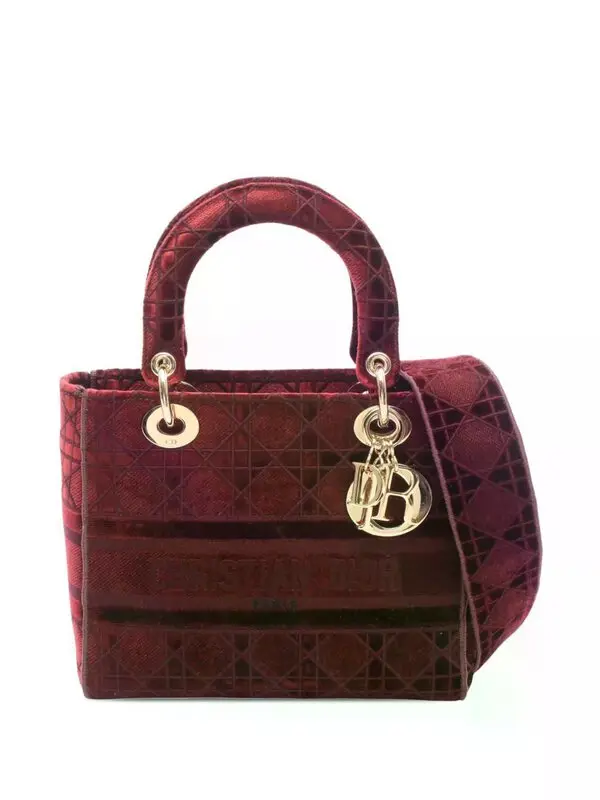 Dior 2010-2026 Medium Embroidered Velvet Cannage Lady D Lite Satchel - Red