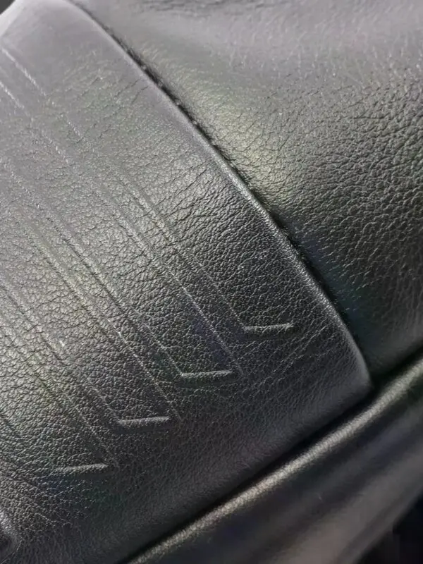 LOUIS VUITTON Palm Springs Backpack Pm