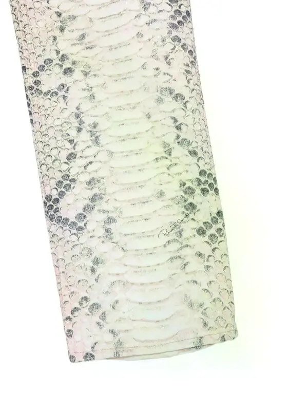 Roberto Cavalli 2000s Snake-print Jeans