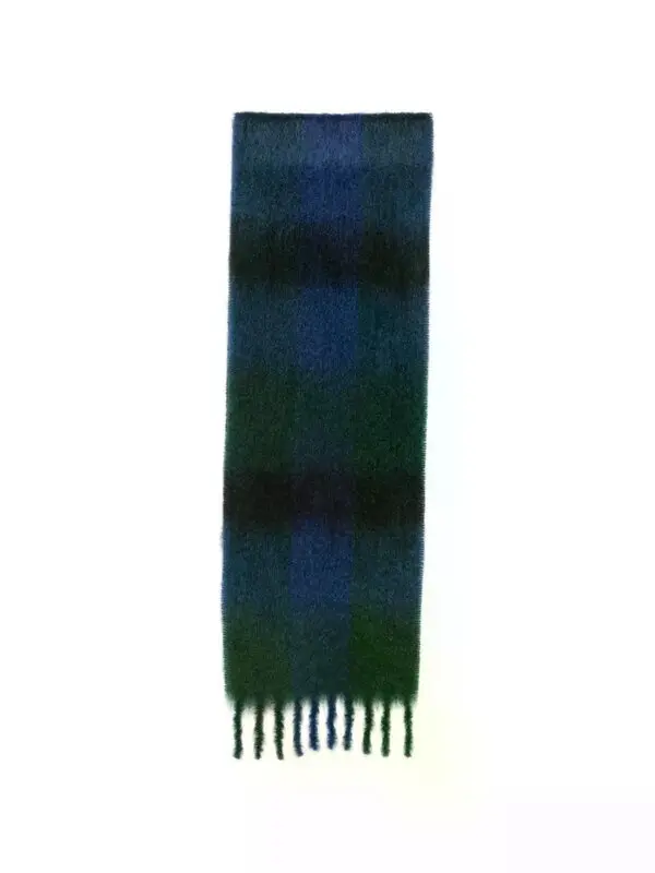 THE ROW Creana Checked Fringed Scarf