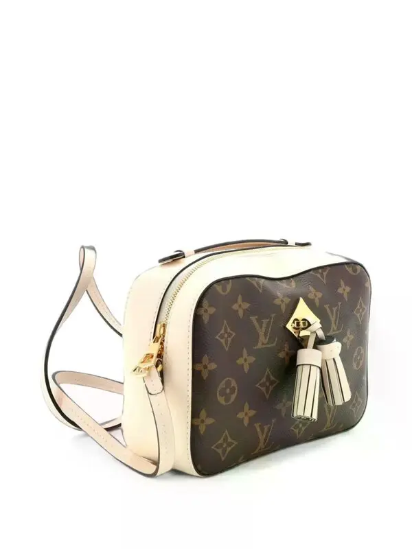 LOUIS VUITTON Saintonge Handbag Monogram Canvas With Leather Crossbody Bag - Neutrals
