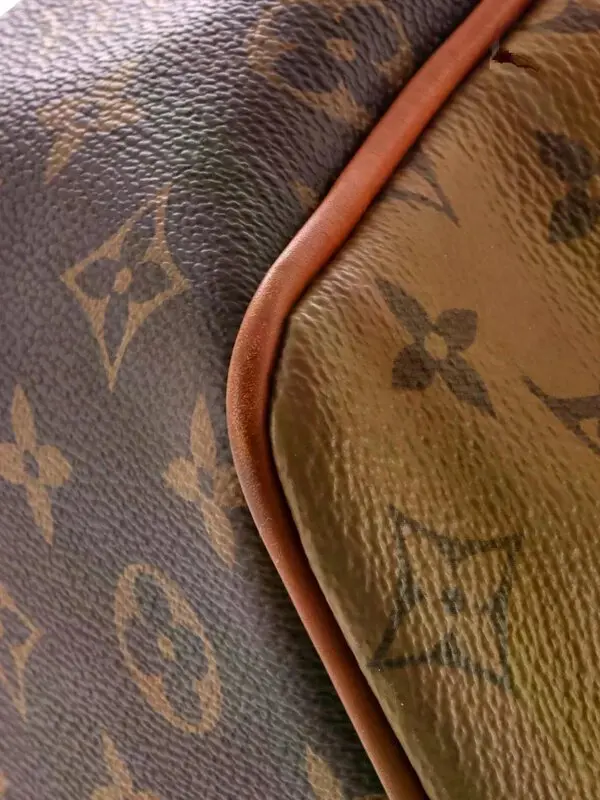 LOUIS VUITTON Dauphine Reverse Monogram Canvas Mm Hobo Bag