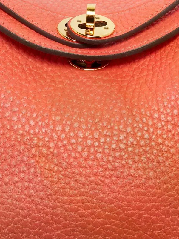 Hermès 2021 Mini Lindy Cross Body Bag
