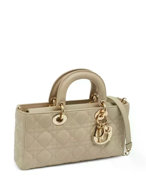 Dior 2022 Lady D-joy Leather Tote Bag