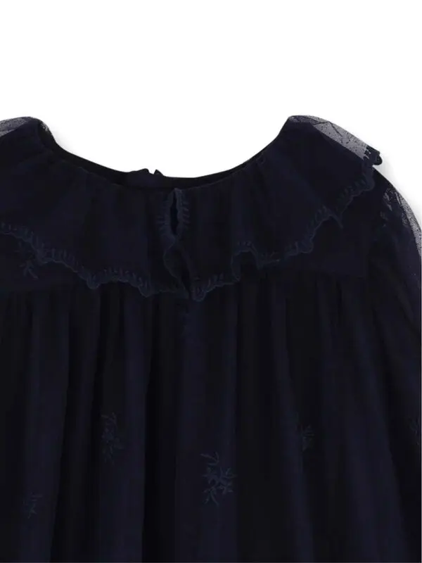 Chloé Embroidered Tulle Dress
