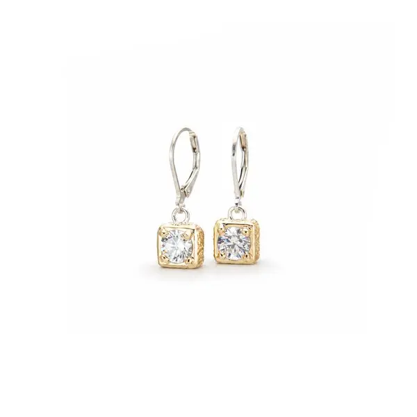 KARYN CHOPIK STUDIO LTD Silver / Gold Gala Earrings With Bronze Cube - Silver/gold