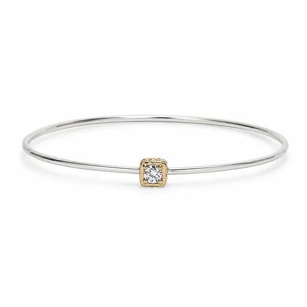 KARYN CHOPIK STUDIO LTD Celebrate Bangle With Cubic Zirconia - Silver/gold