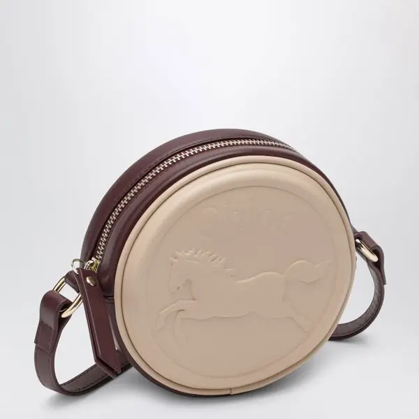 Chloé Circular Shoulder Bag In Light Pink Leather