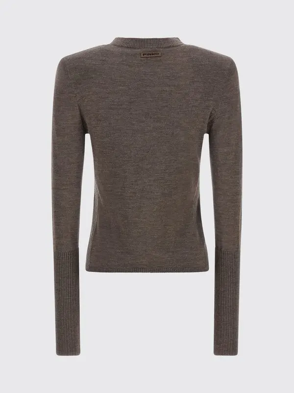 Pinko Sweater - Brown