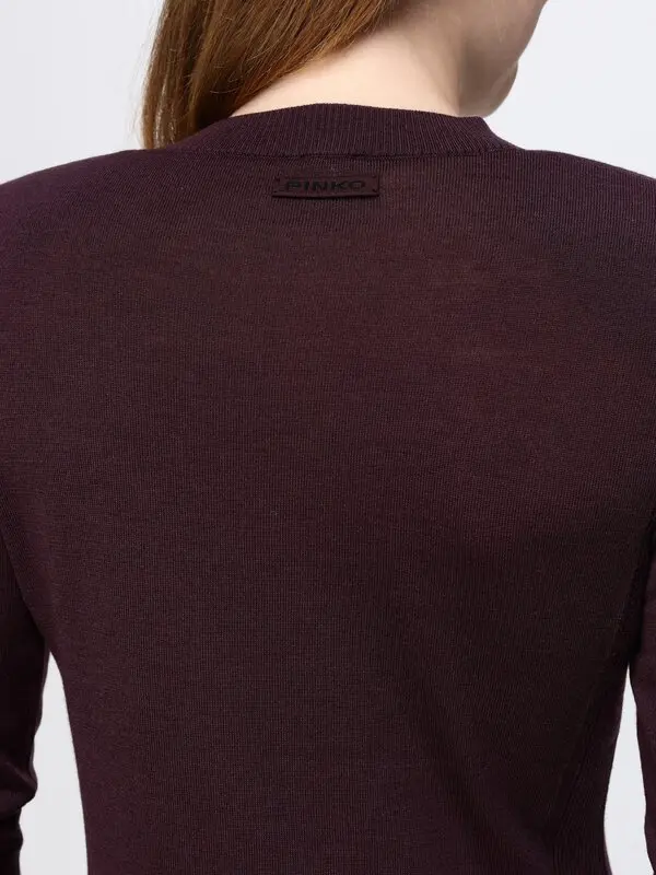 Pinko Slim Fit Jumper - Violet